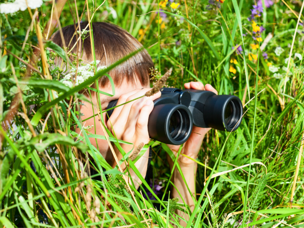 Enqu te Sur La Science Participative VivArmor Nature enqu-te-sur-la-science-participative-vivarmor-nature