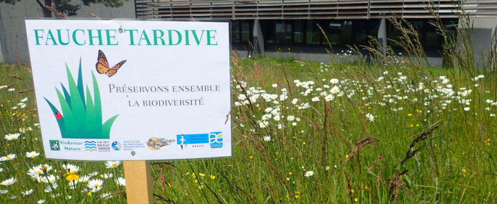 Gestion en faveur de la biodiversité à l’espace KERAIA : petite coupe ...